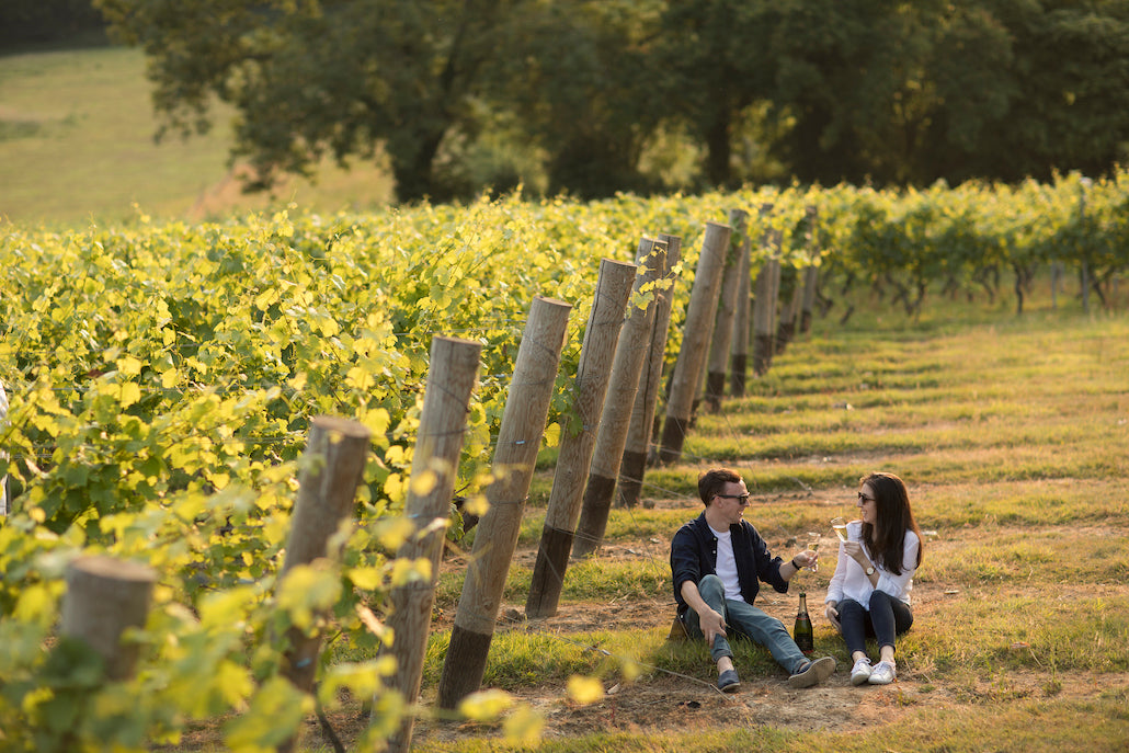 VISIT US – Chapel Down